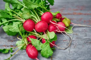 A Retek termesztése, gondozása, felhasználása, jellemzői ⋆ Zöldség infó